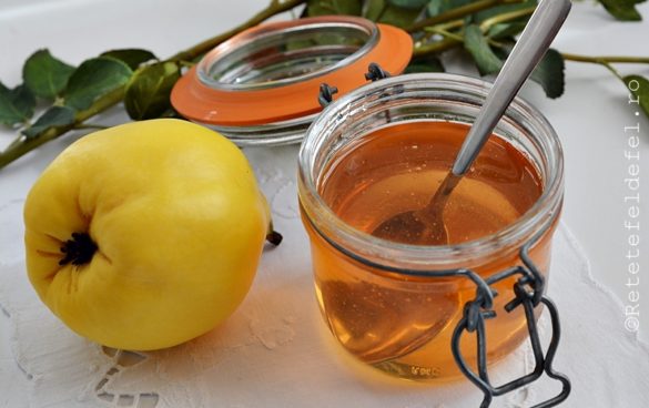 PELTEA DE GUTUI - Rețete Fel de Fel